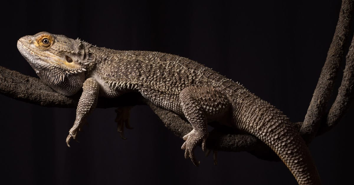 Kelley Create Modern Office Tour: Richland, WA